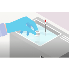 Thawing frozen cells – detailed protocol for human primary cells