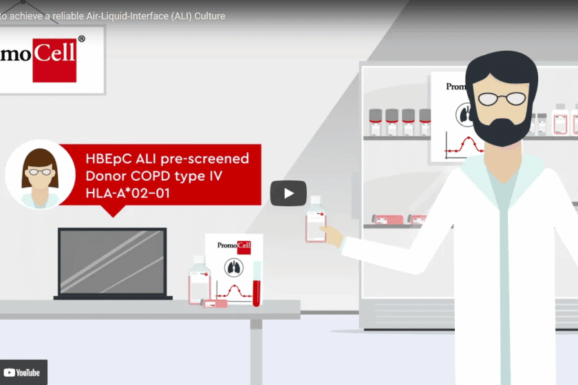 How to achieve a reliable Air-Liquid Interface (ALI) Culture