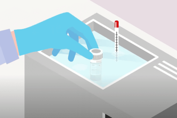 Thawing frozen cells – detailed protocol for human primary cells