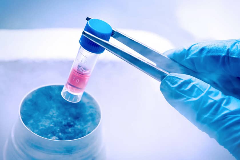 Optimizing cryopreservation: Serum-free cell freezing medium