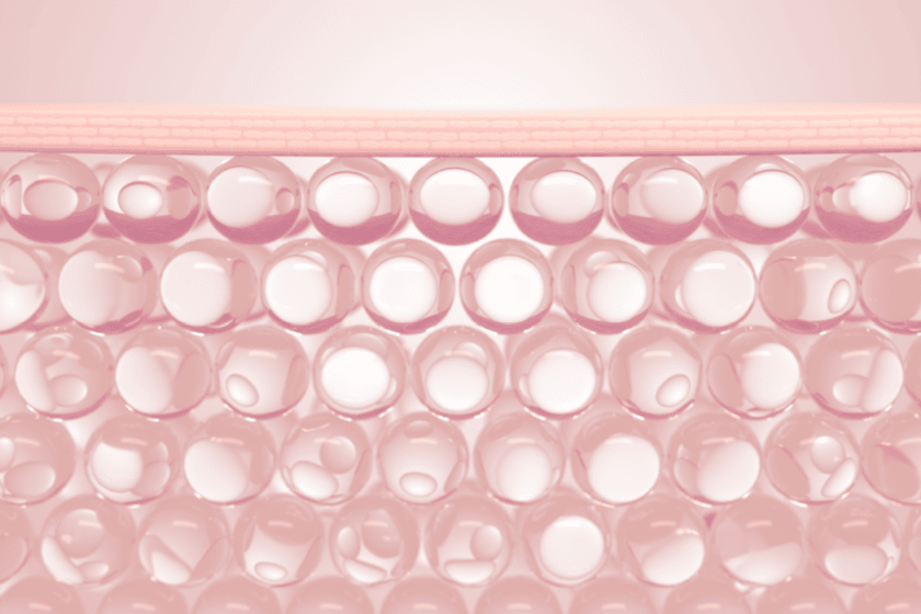 A novel high throughput 3D wound healing model